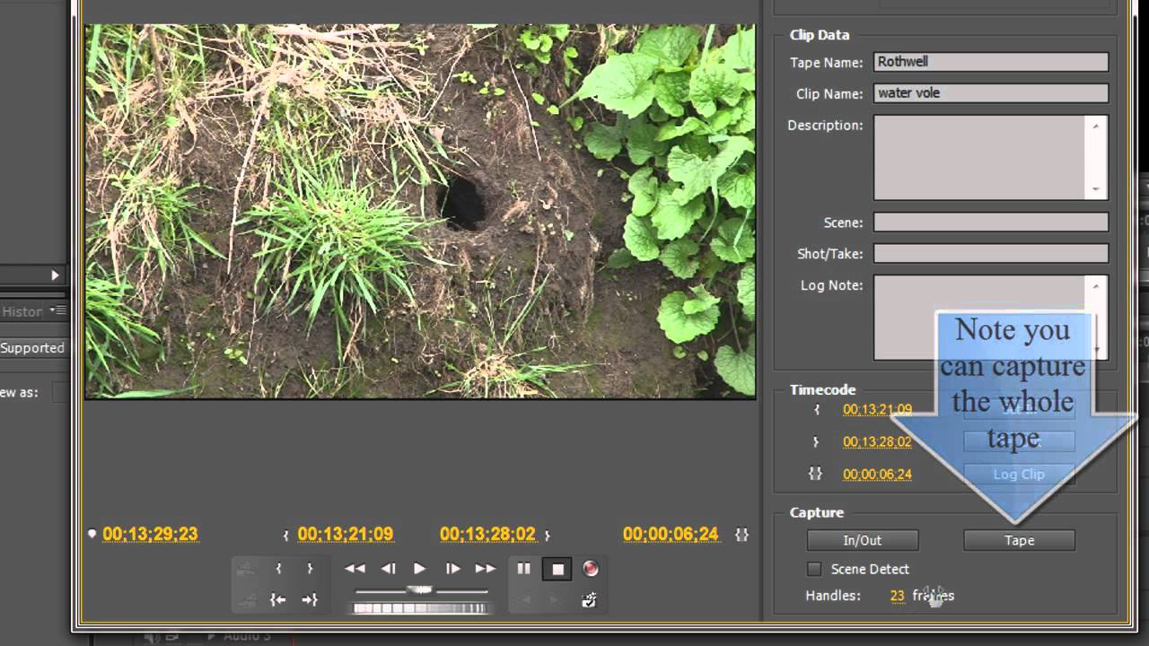 Premiere Pro Capturing And Batch Capturing From Minidv Tape Youtube