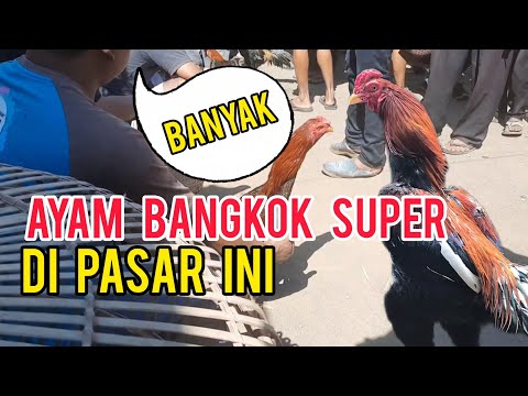 PASAR AYAM SLEMAN || RAMAI DI SETIAP HARI PASARAN