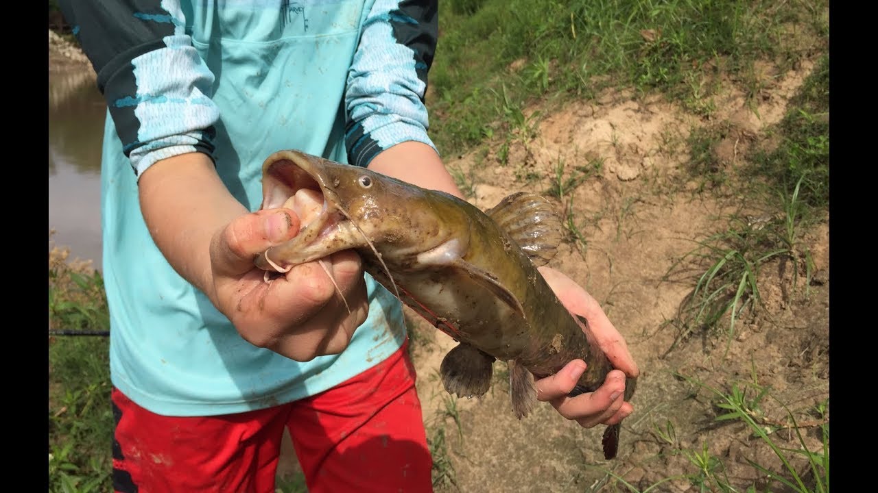 Texas Bayou Fishing - YouTube