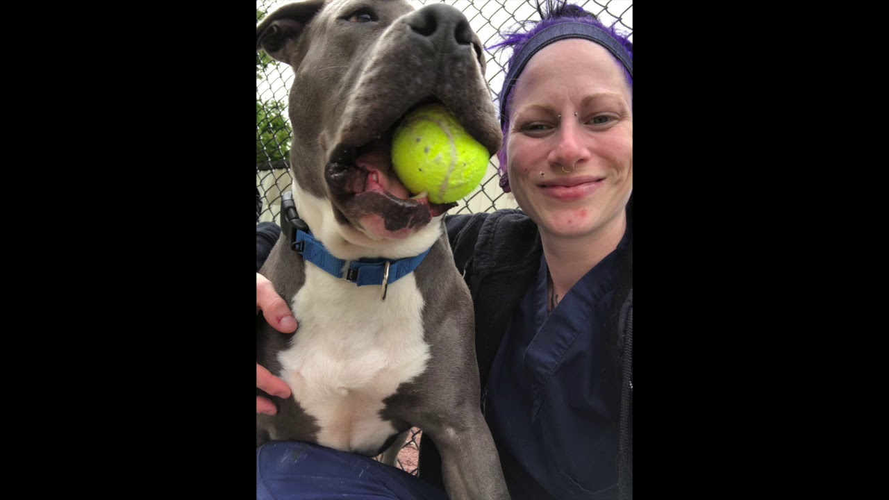 Blue Apollo - YouTube