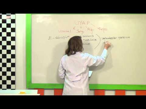 Açıköğretim Ulusal Yargı Ağı Projesi