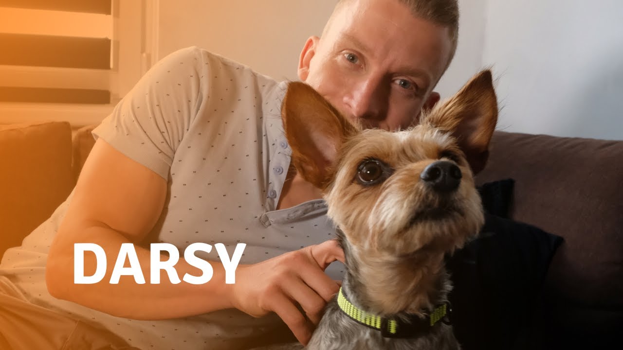 Najvernejší EPIZÓDA 10 DARSY TEASER_2. séria - YouTube