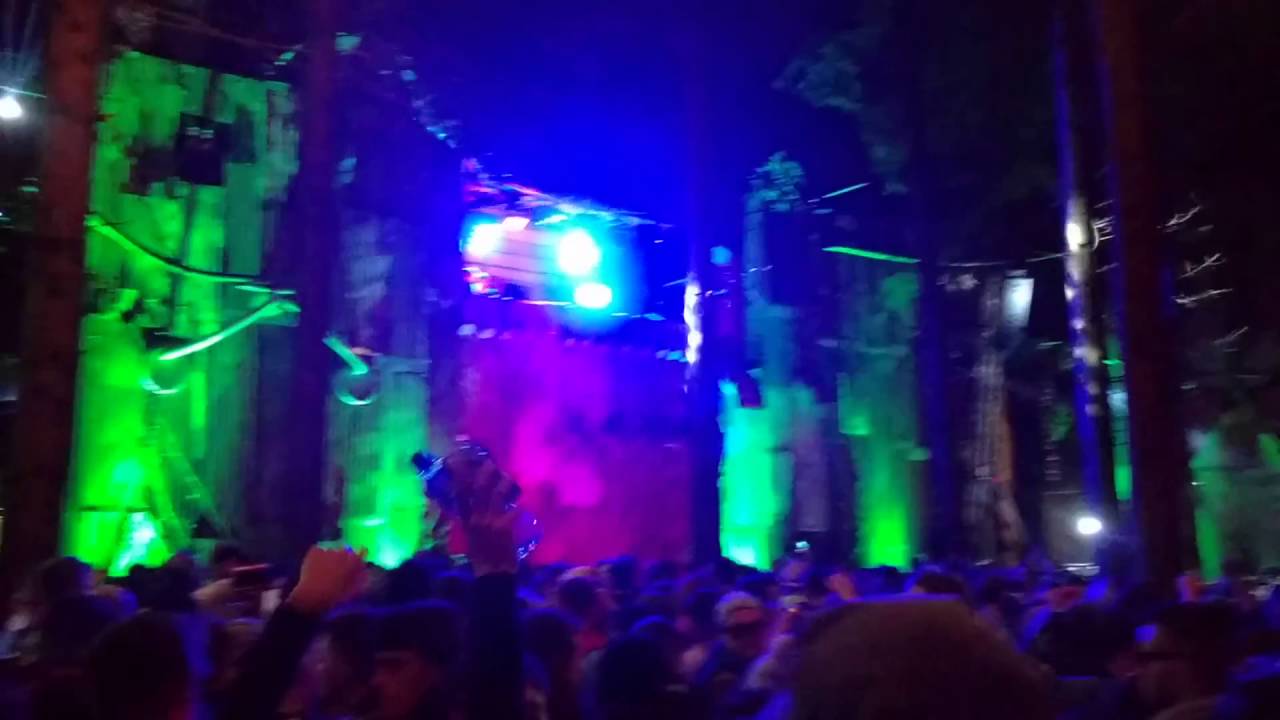 Electric Picnic - Rave in the Forest 2016 - YouTube