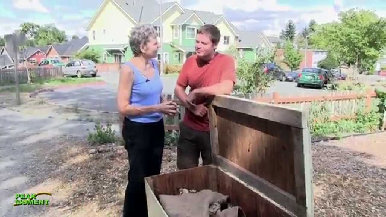 Seattle Community Farm — Growing Fresh Veggies for the Neighborhood ...