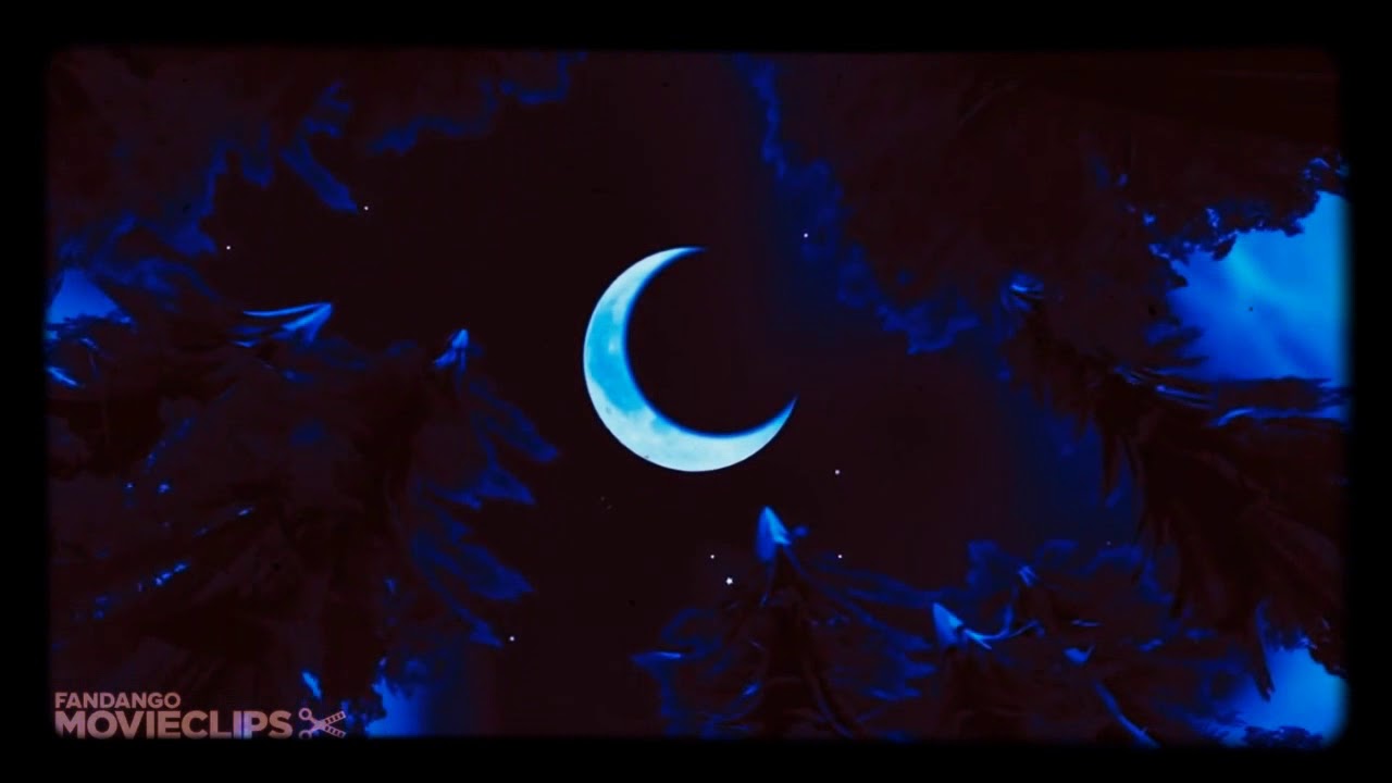Hoodwinked! Movie CLIP - Red Is Blue (with 8mm) - YouTube