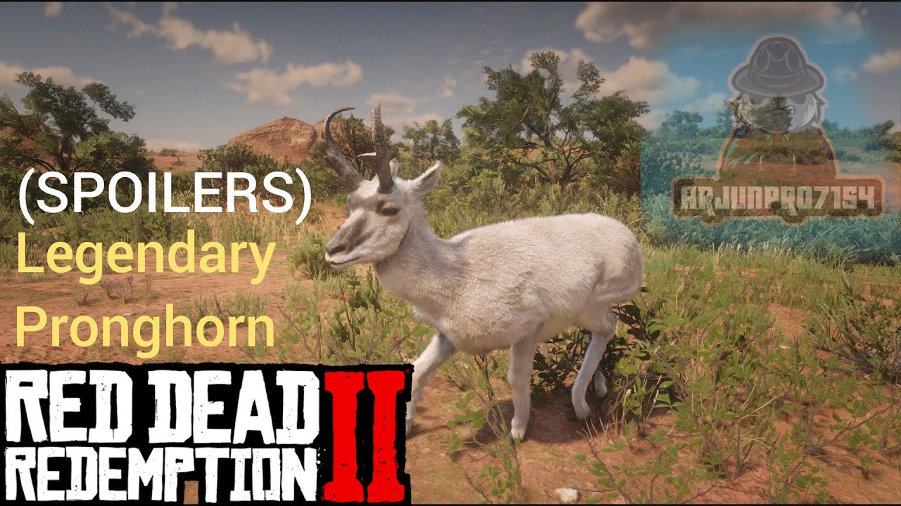 Red Dead Redemption 2 - Legendary Pronghorn - YouTube