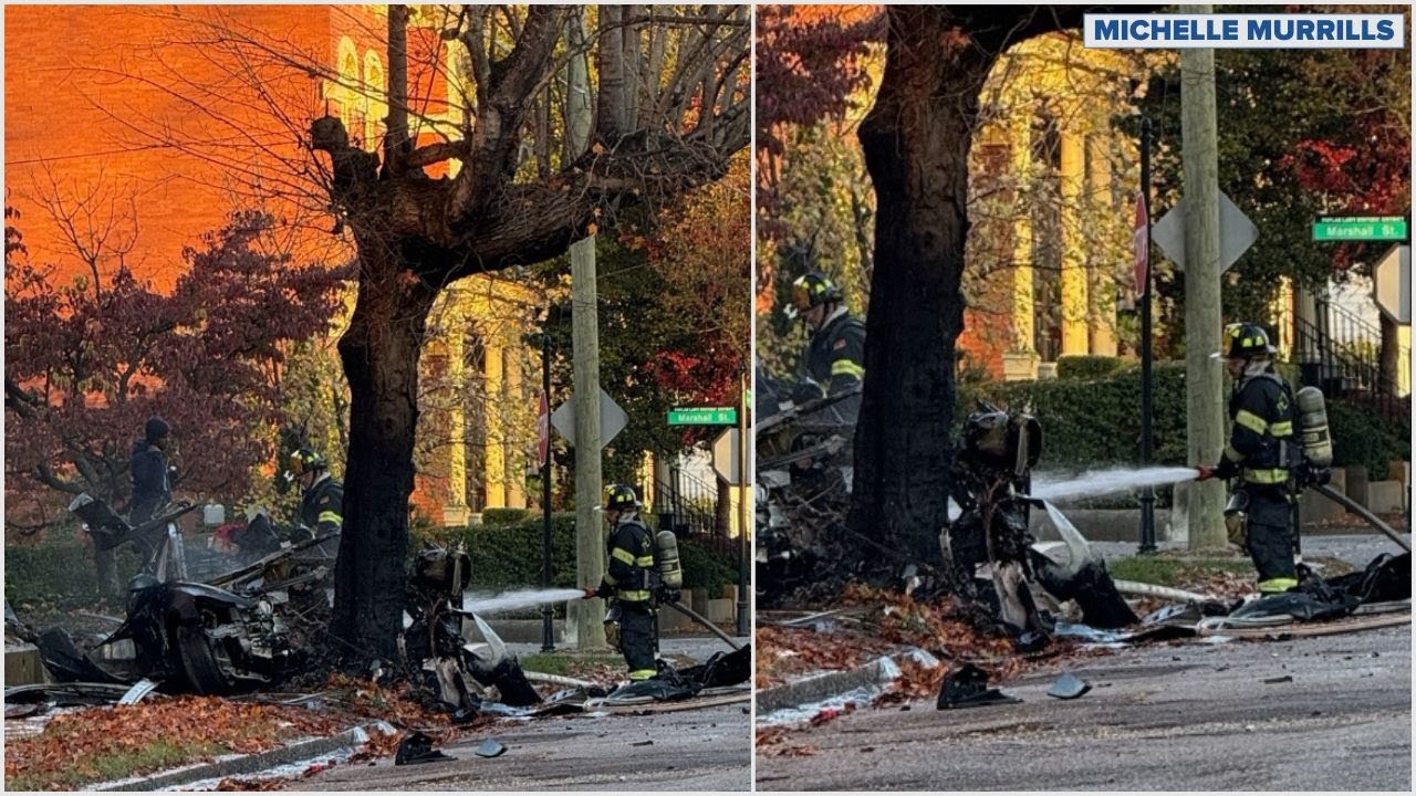 Driver, passenger killed after speeding Tesla hits tree, catches fire ...
