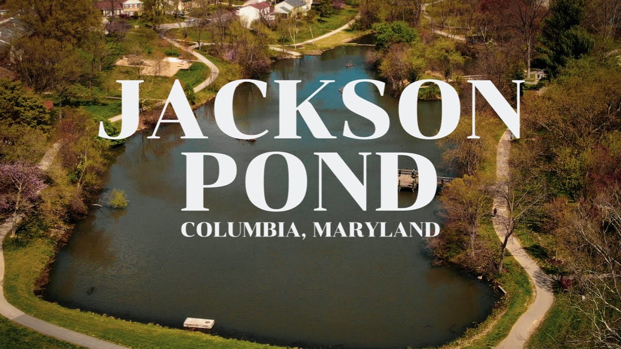 Jackson Pond | Columbia, Maryland - YouTube