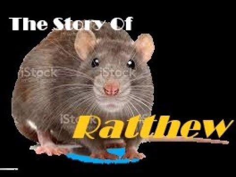 Ratthew - YouTube