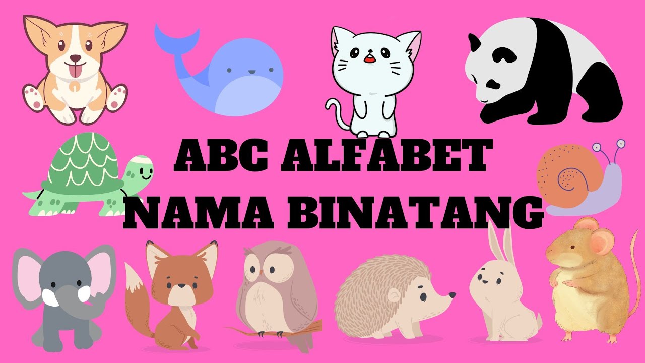 ABC ALFABET BINATANG DARI A SAMPAI Z | ABC ALFABET HEWAN - YouTube