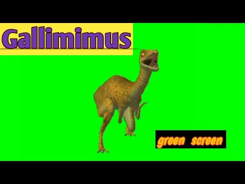 Gallimimus green screen video - YouTube