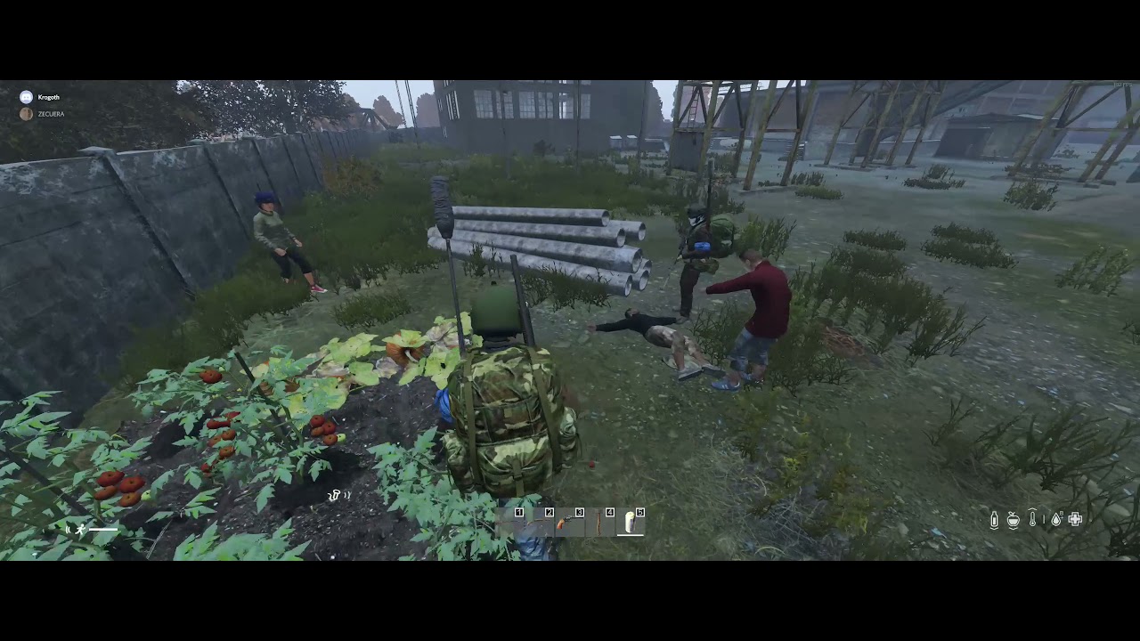 FIZEMOS UMA LUTA DE UFC NO #DAYZ - YouTube