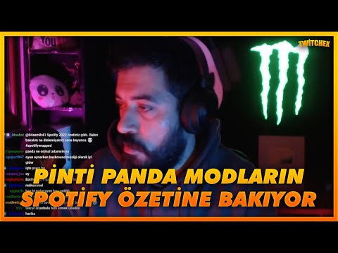 Pinti Panda Modların Spotify Özetine Bakıyor