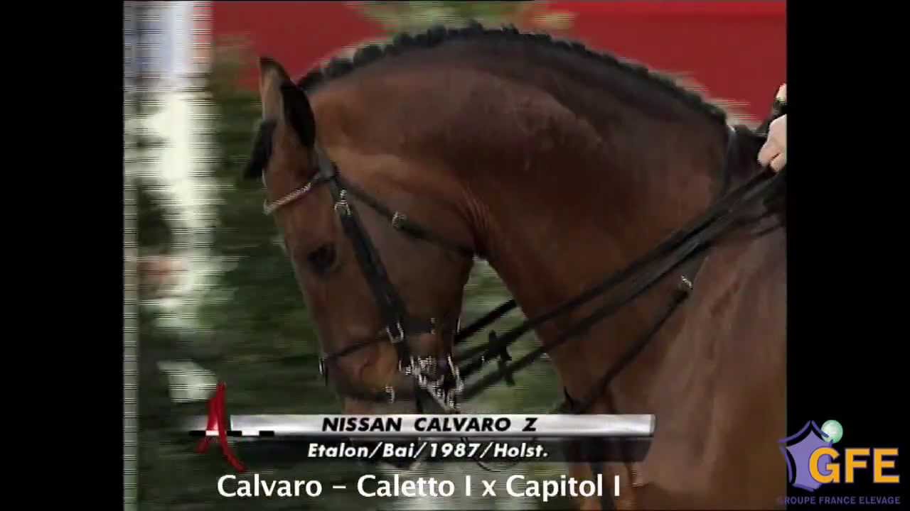 Calvaro - YouTube