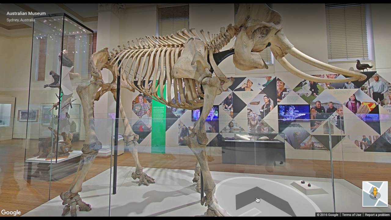 Australian Museum Sydney