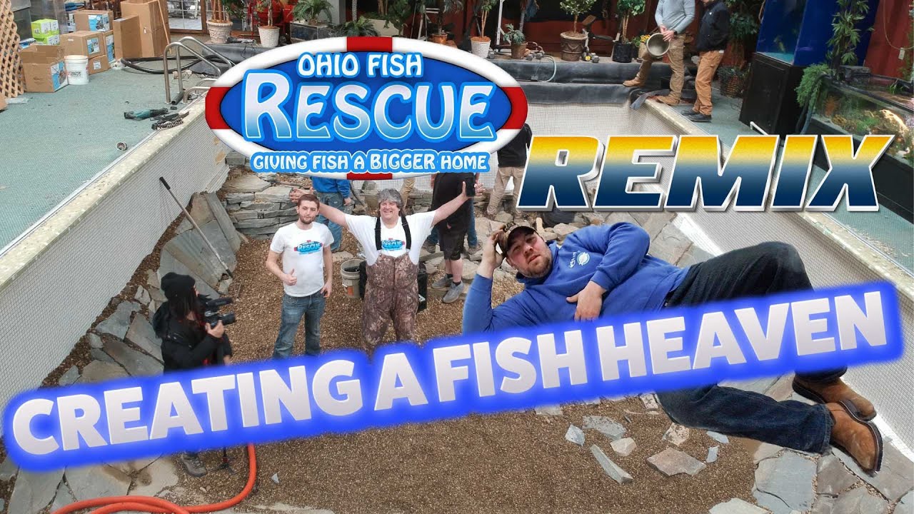 POOL TO POND | Creating a Fish Heaven Out of an Old Swimming Pool - YouTube