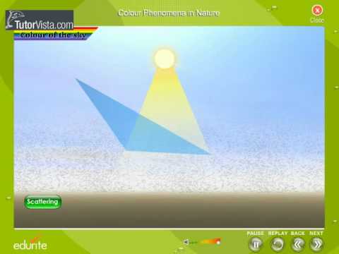 Colour Phenomena In Nature - YouTube