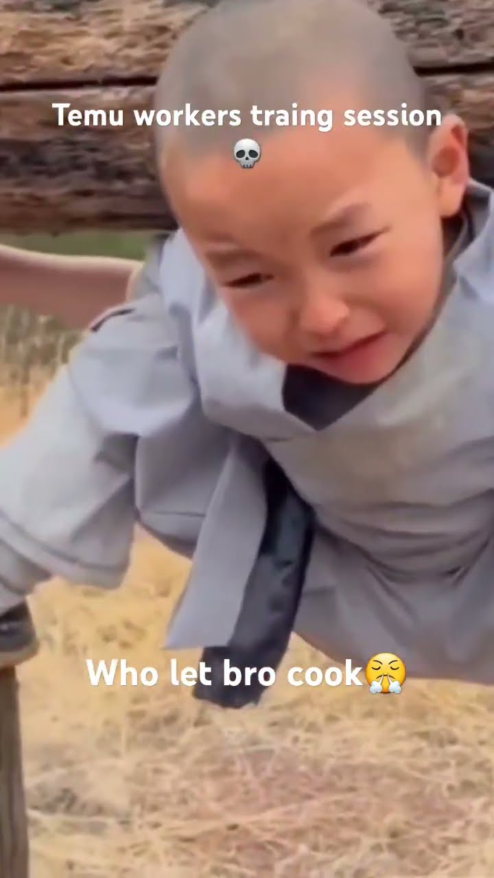 bro thinks hes a samurai #youtube #shorts #temu #china #meme #funny ...