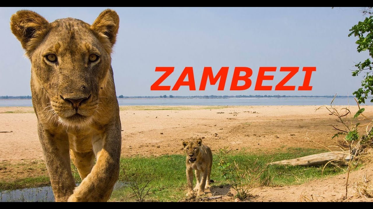 ZAMBEZI - VIDEO BY ARTHUR - INSTRUMENTAL MUSIC FROM 1962 - YouTube