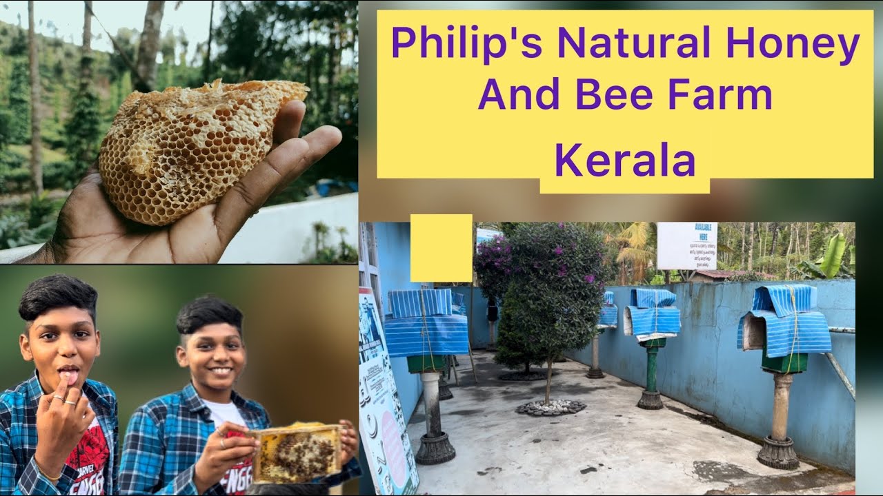 Philip's Natural Honey And Bee Farm #bee #honey #farm - YouTube