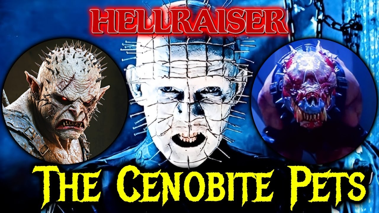 Who Are Cenobite Pets? Why Were They Were Created? What's Their Tragic ...