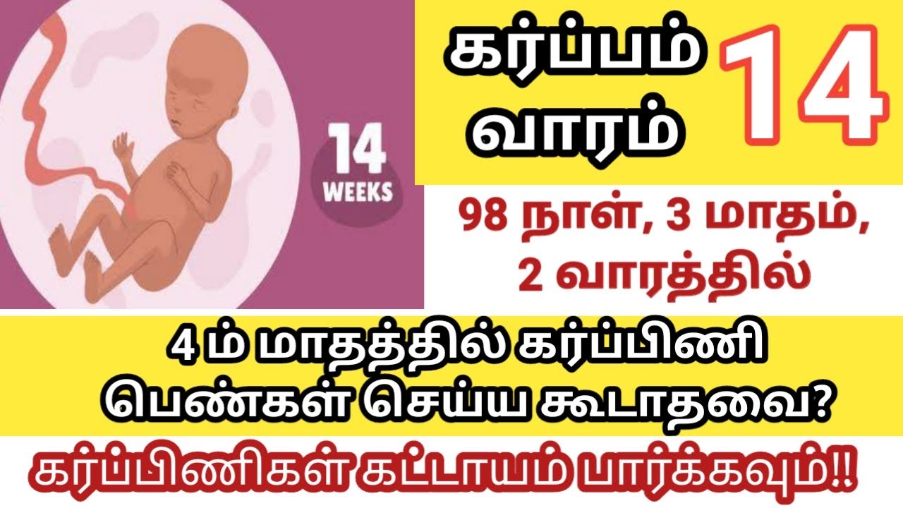 14 week of pregnancy in tamil | 14 weeks pregnancy symptoms in tamil ...