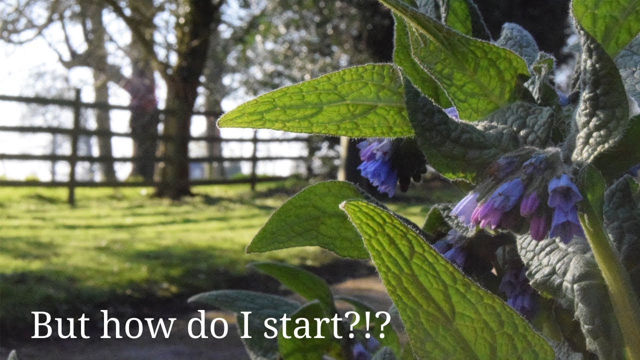 But How Do I Start Recovery YouTube but-how-do-i-start-recovery-youtube