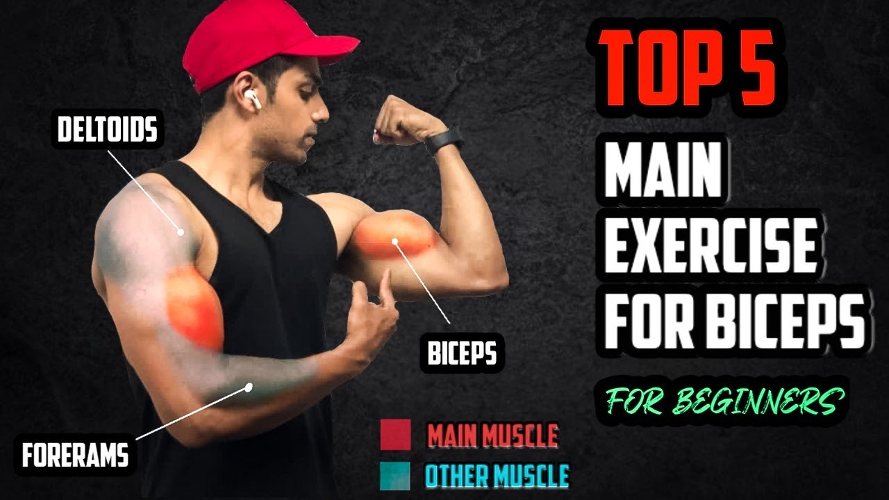 Top Best beginners Bicep workout | REPS ARE INCLUDED | - YouTube