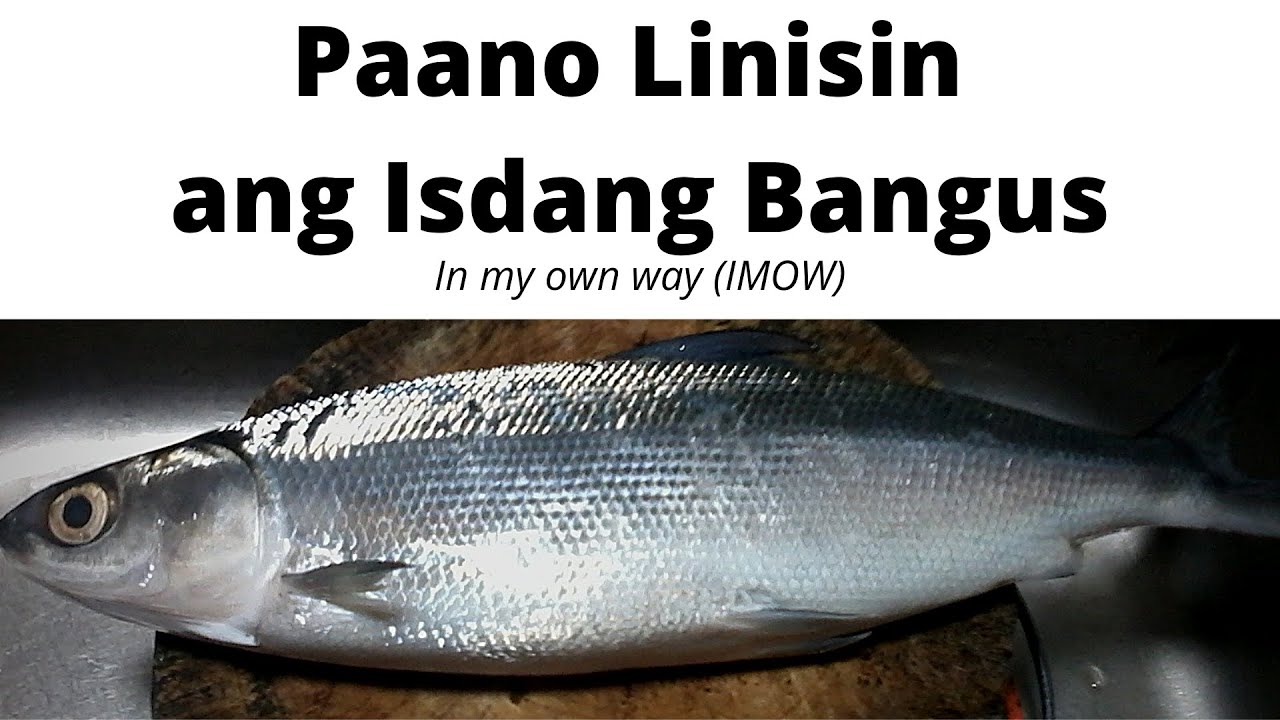 Paano Lilinisin ang Isdang Bangus/Milkfish - YouTube