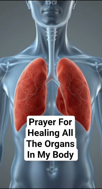 God Restore Every Organ in My Body/ Powerful Prayer for Divine Healing ...