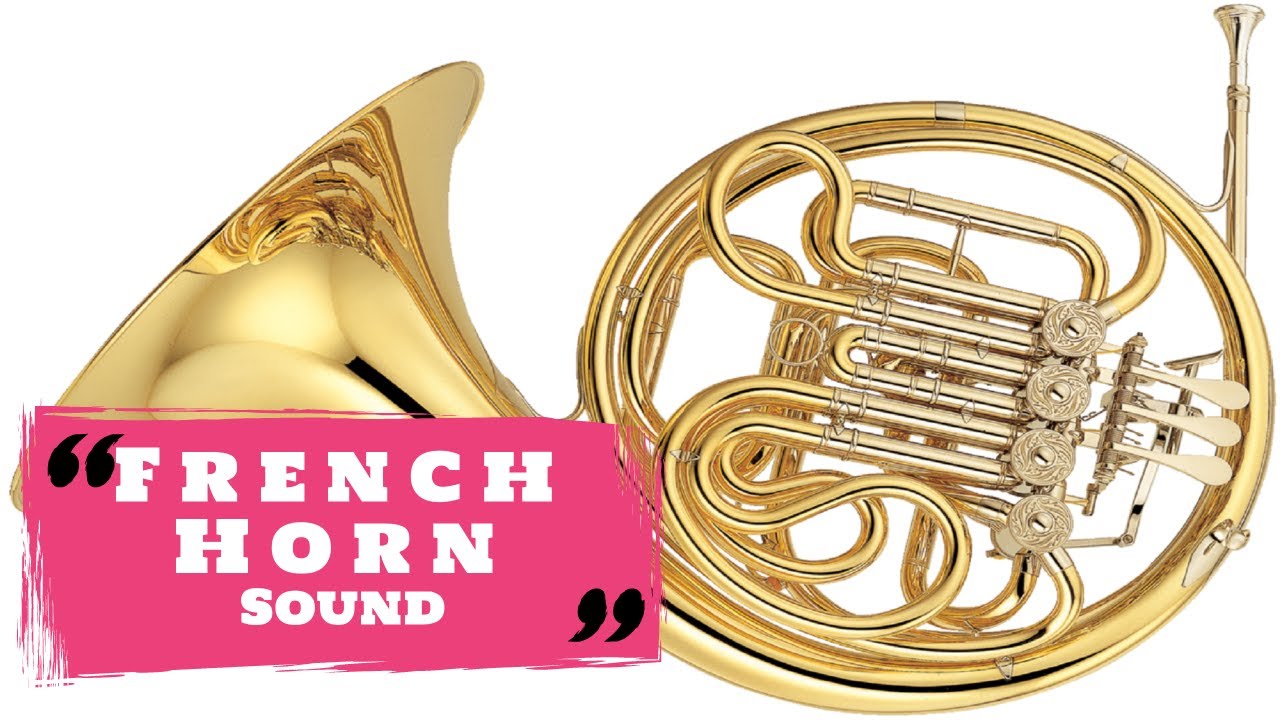French Horn Solo Sound Music Instrument - YouTube