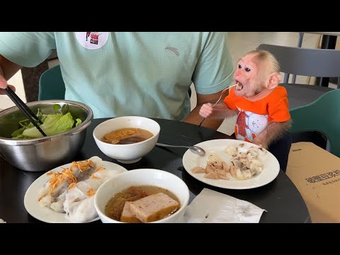 Monkey BiBi sleeps with his father, wakes up to brush his teeth! Dad invited BiBi to eat hot rolls!