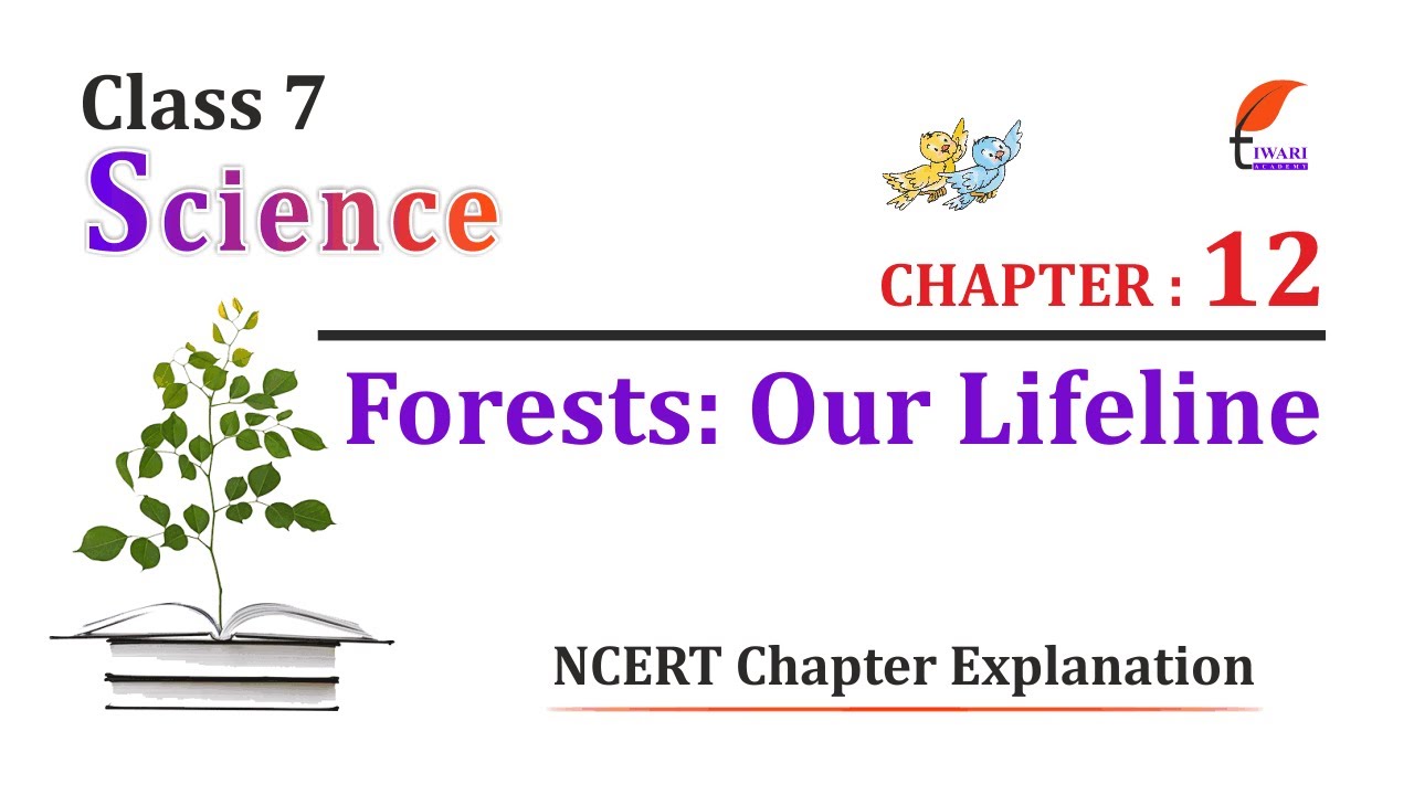 NCERT Solutions for Class 7 Science Chapter 12 - YouTube