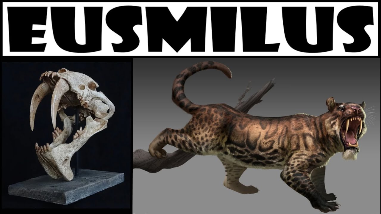 Eusmilus Bemutatása - Magyarul - YouTube