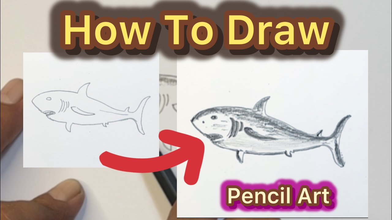 How To Draw‼️lukisan Pencil Ikan #art #drawing #nature #pencildrawing ...