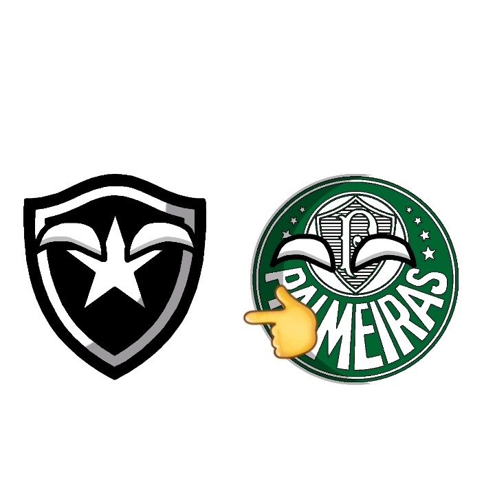 cala boca e escuta o som #botafogo #palmeiras #brasileirão - YouTube