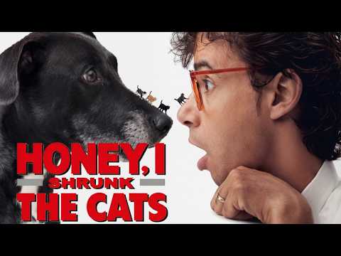 Honey, I shrunk the cats 😸🫣1989 Honey, I shrunk the kids parody with my cats and dog