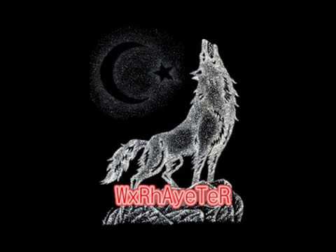 Wolfteam (Twerk Show Troll amaçlıdır!)