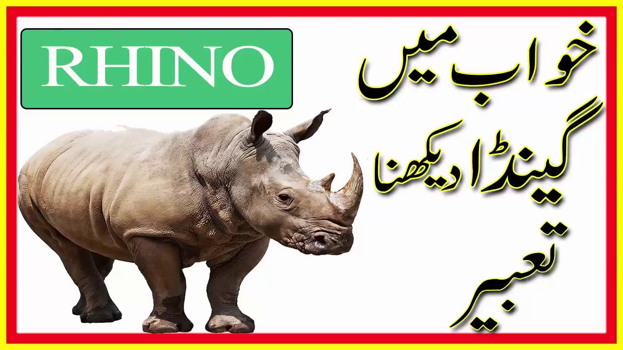 khawab nama in urdu || khawab ki tabeer || Khwab mein Gainda dekhna ...