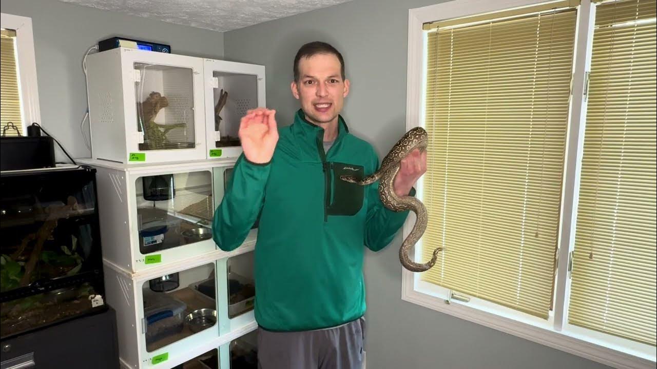 Very Important warning! Understanding Feeding Response and Prey ...