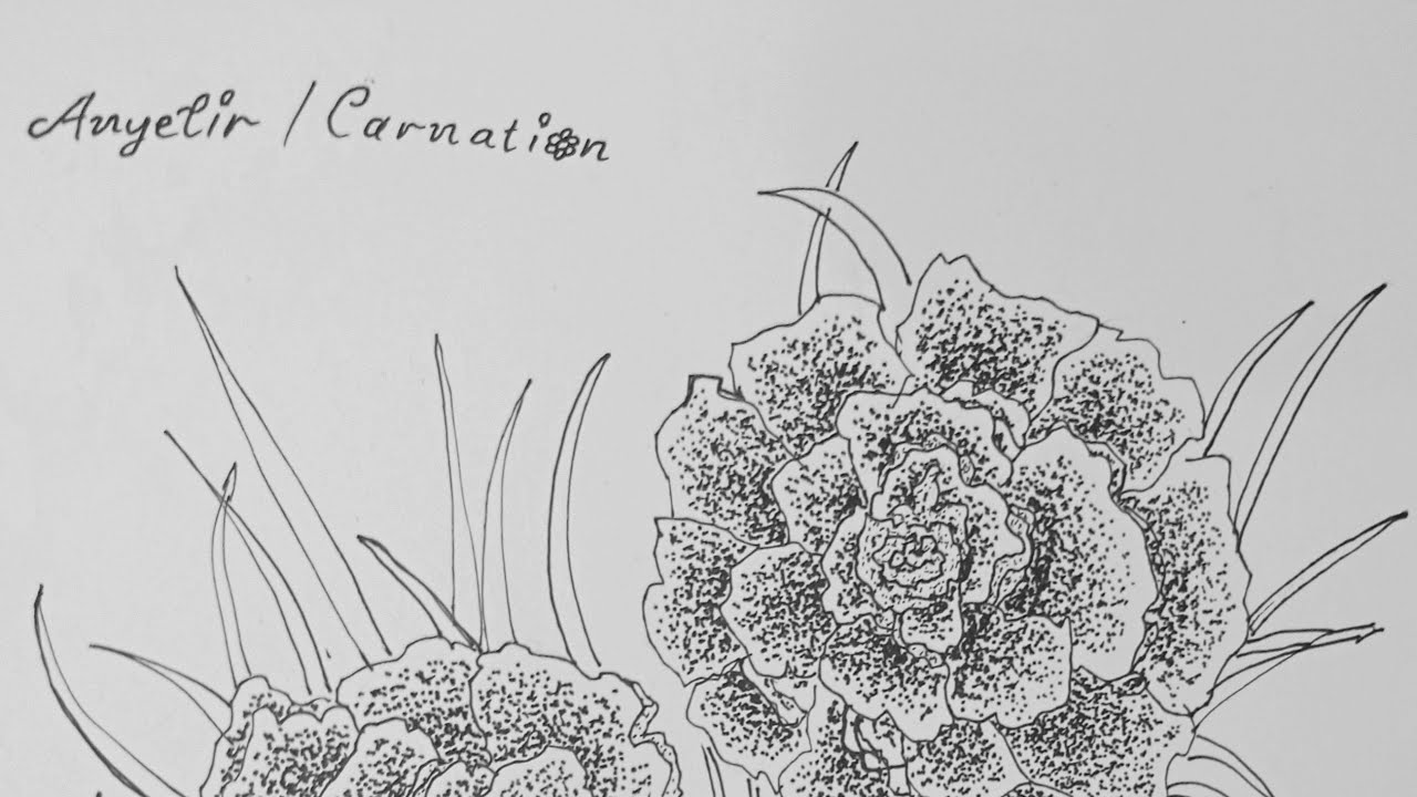 Part 2. Bunga Anyelir/Carnation Flower - Teknik Pointilis - YouTube