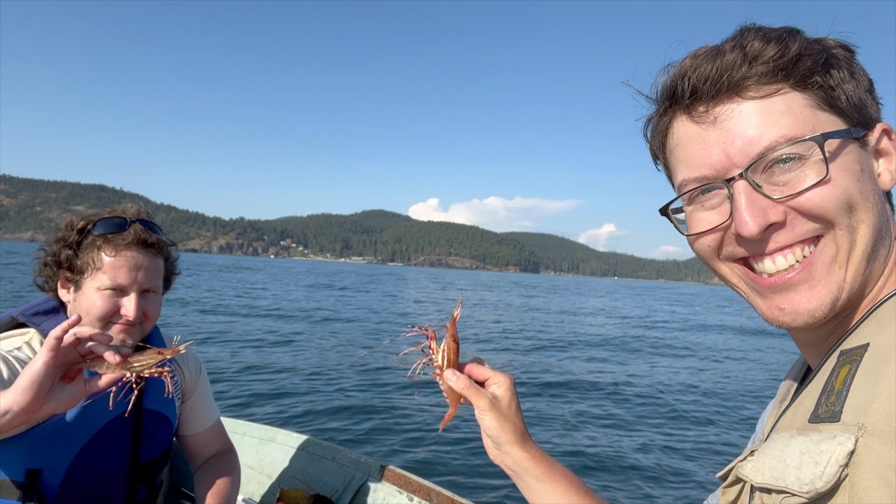 Hook, Line, and Shrimp: A Novice's Guide to Shrimping in Washington ...