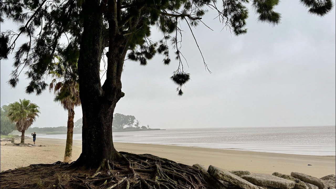 Punta Indio, naturaleza y playa - YouTube