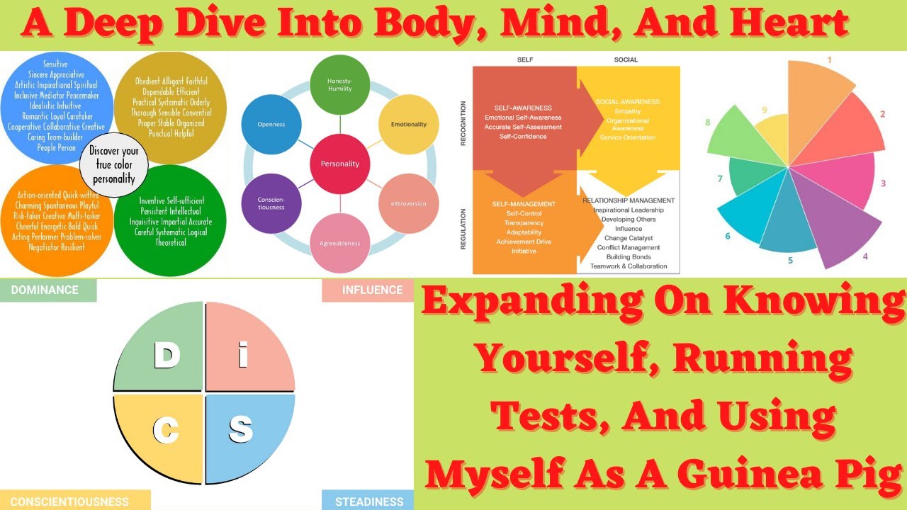 The Pandora's Box Of Personality- 5 Different Models To Assess Yourself ...