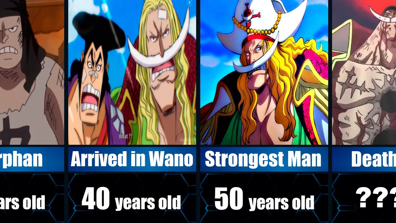 Whitebeard Over the Years: A Deep Dive into His Evolution in One Piece ...