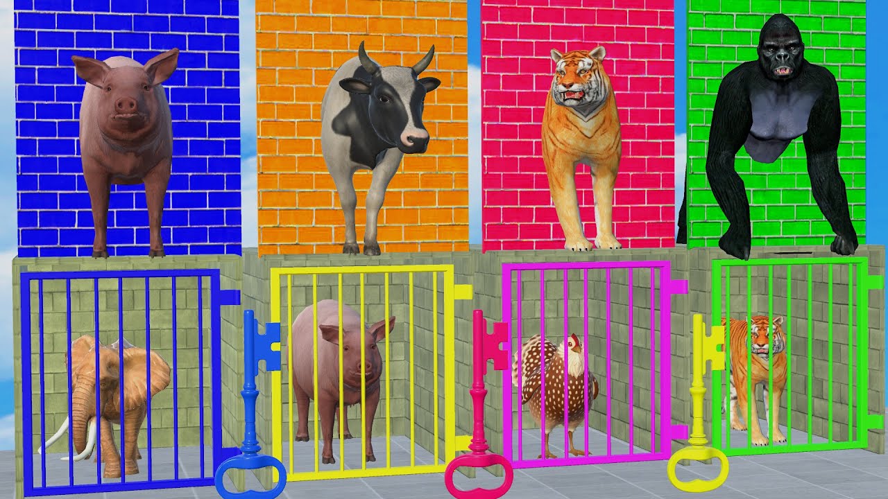 Long Slide Game With Elephant Gorilla Buffalo Hippopotamus Tiger - 3d ...