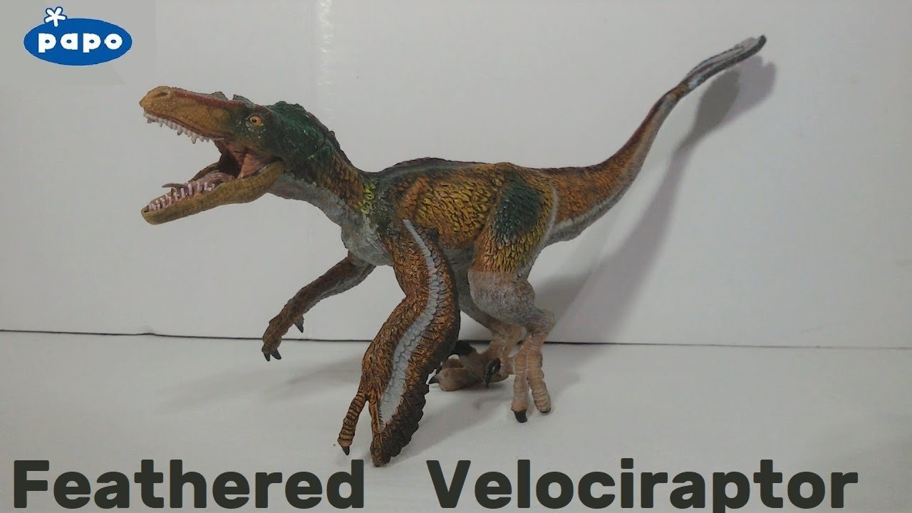 Papo® Feathered Velociraptor (55055) Review! - YouTube