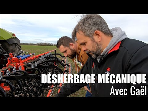 Désherbage mécanique avec de nouvelles machines !