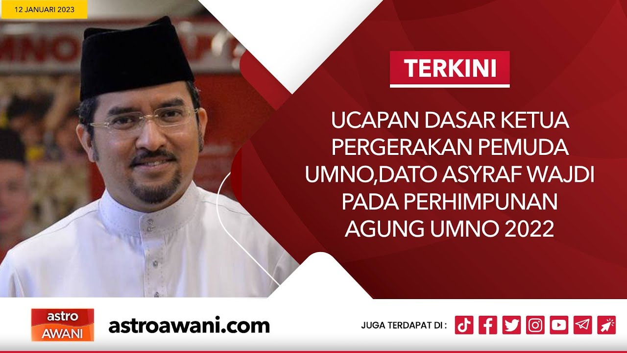 Pemuda Umno Logo