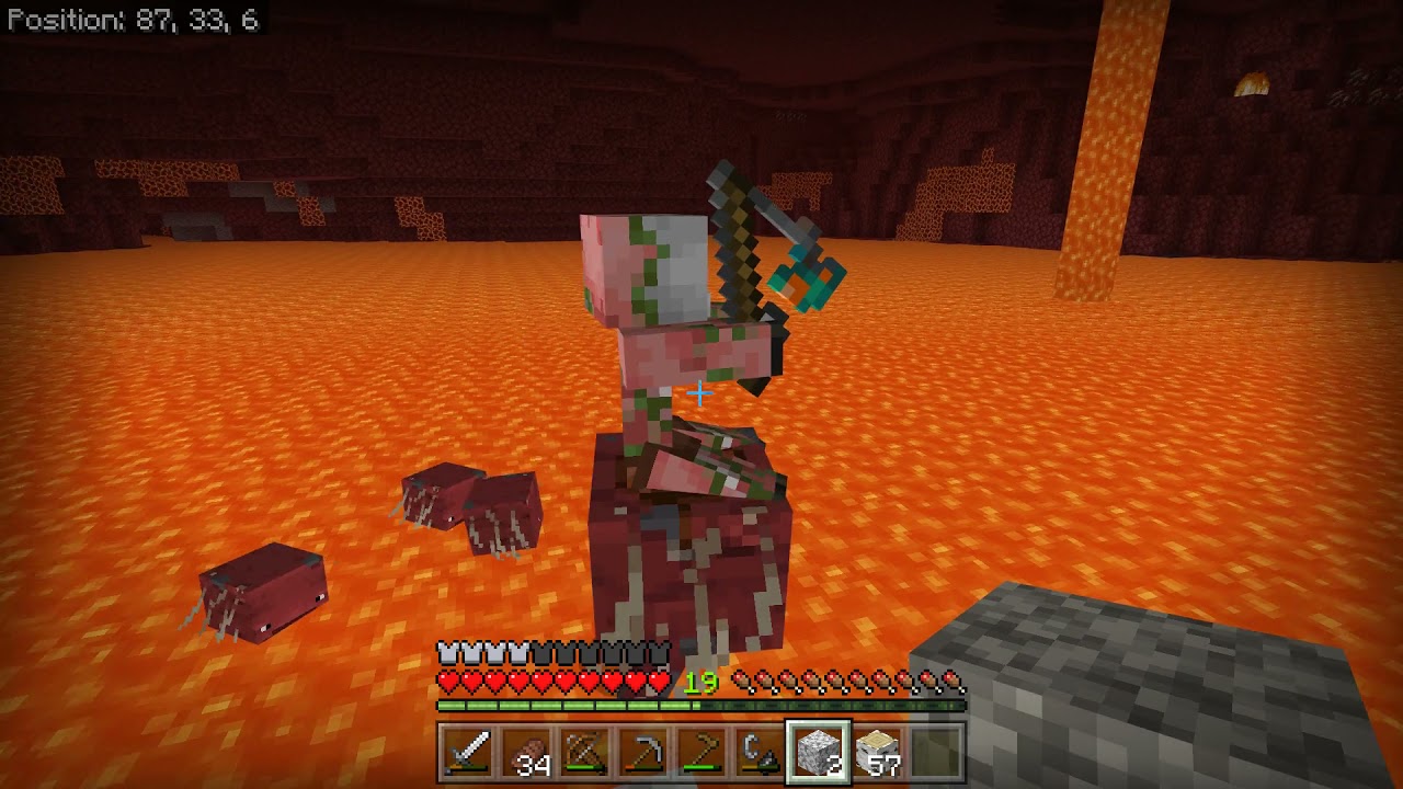 Zombie Piglin Riding Strider With Three Baby Striders Following - YouTube